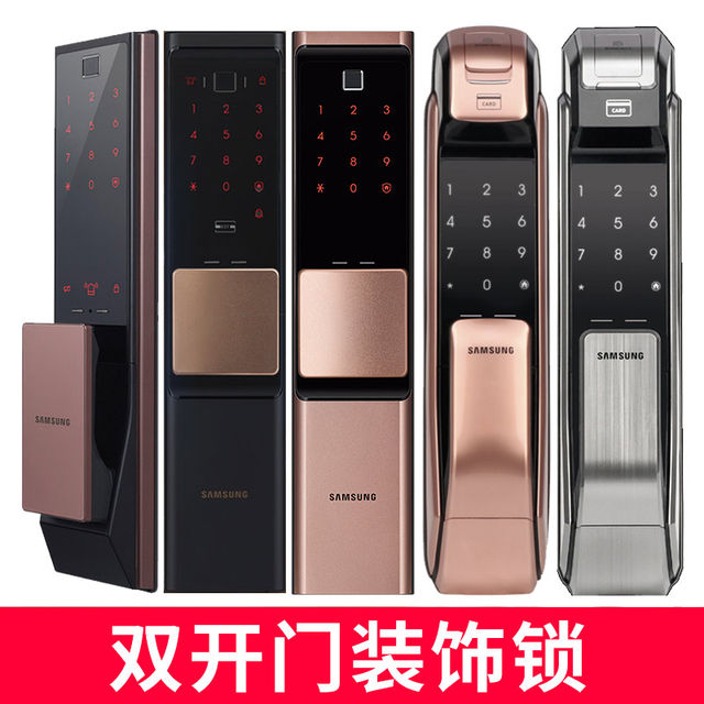 Samsung Smart Fingerprint Lock Function Double Door Decorative ...