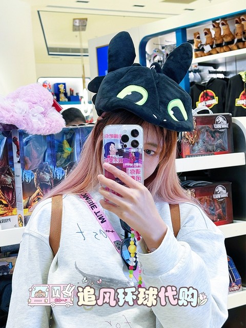 Beijing Universal Studios Purchasing Agent for How to Train Your Dragon ...