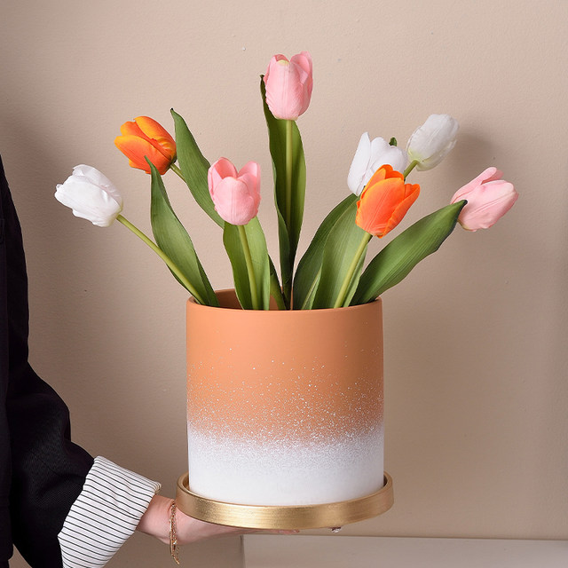 Gradient Nordic minimalist creative round ceramic flowerpot with tray ...