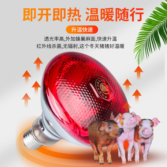 Dr. Pig Beasts uses thermal insulation lamp farm for pigs with warm ...