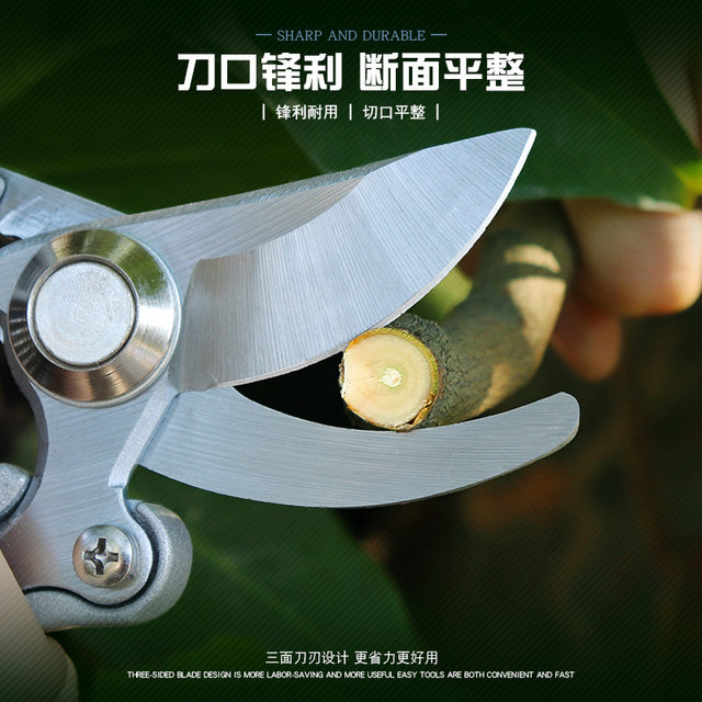 Powerful branches Cut stainless steel garden scissors and fruit tree ...