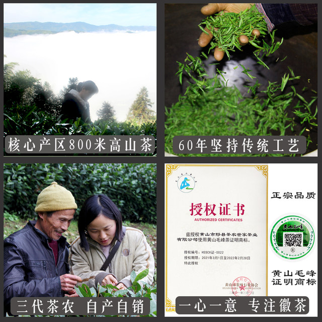 Huangshan Maofeng 2024 New Tea Handmade Wild Tea Handmade Green Clouds ...