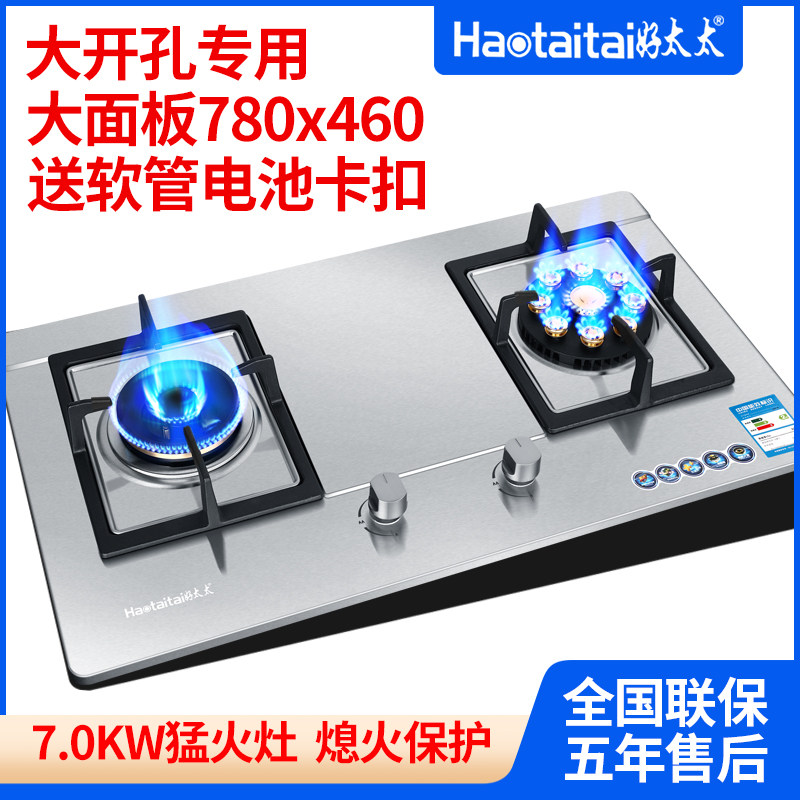 Large Panel Gas Stove Double Stove Home Embedded Stainless Steel Fire Stove