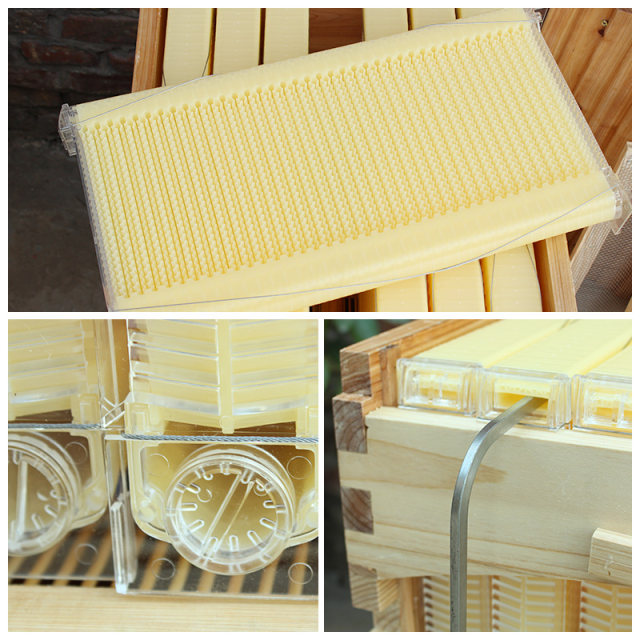 Artesian bee box complete set of Italian beekeeping bee feeding tools ...