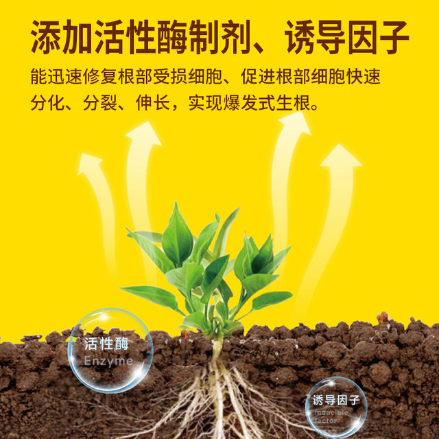 Powerful rapid rooting liquid powder cutting nutrient solution plant ...