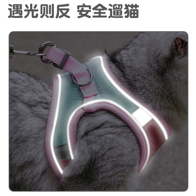 Cat leash harness, anti-breakaway, cute Velcro safety buckle ...