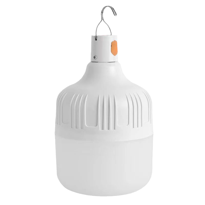 Qian Shuai Rechargeable LED Bulb - 21W Super Bright Portable Light