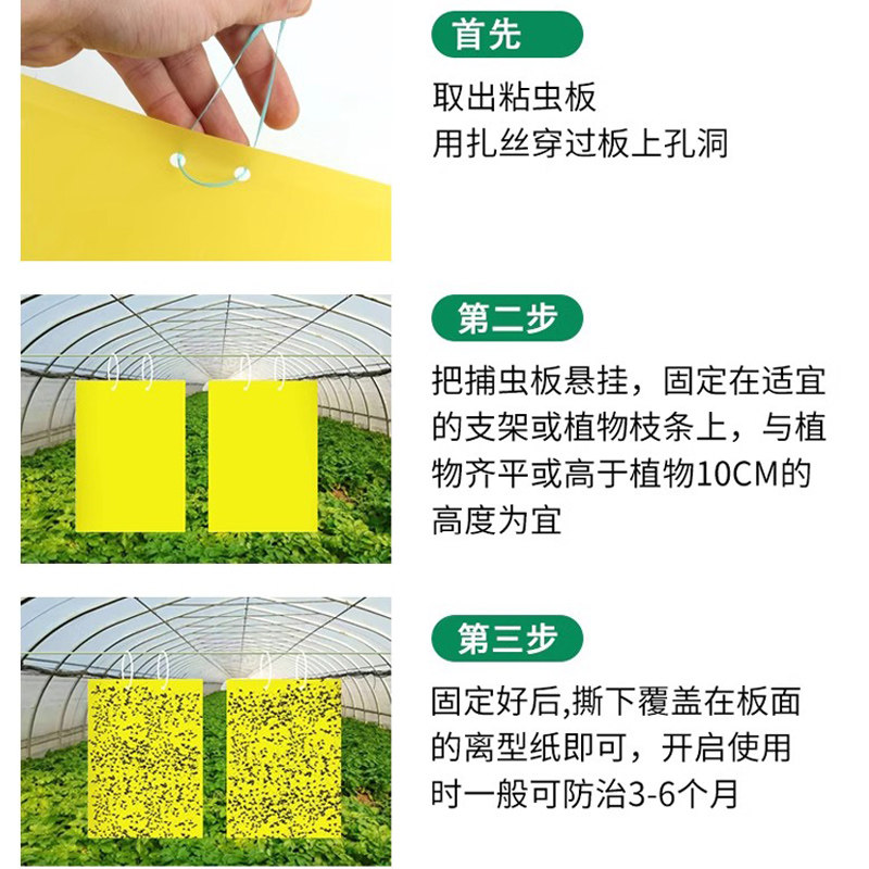 Sticky Insect Board - Greenhouse Black Fly Trap Insect Trap Sticker