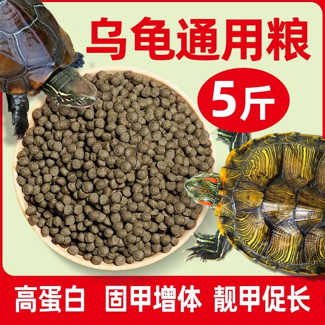 Turtle food, turtle food, Chinese tortoise, Brazilian turtle, snapping ...