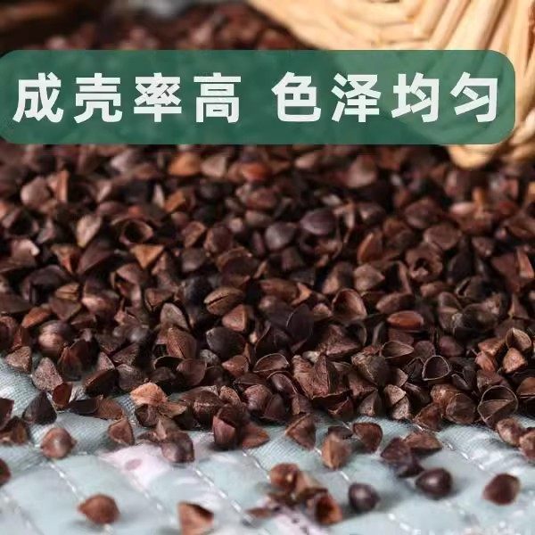 Buckwheat shell bulk 10Jin [Jin equals 0.5kg] no-wash buckwheat hull ...