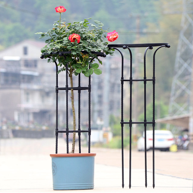Gardening green plant stand outdoor single circle umbrella rose ...