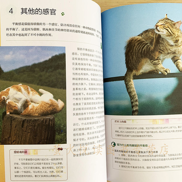 Genuine graphic illustrations cat love cat maintenance practical manual ...