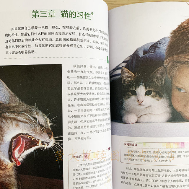 Genuine graphic illustrations cat love cat maintenance practical manual ...