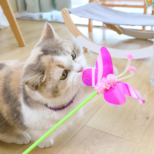 Taiwan's AmyCarol Cat Funny Stick, Long Rod, Bite-Resistant, Feather ...