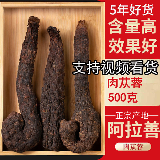 Authentic Alxa Desert Cistanche Whole Root 500g Genuine Oil Congrong ...