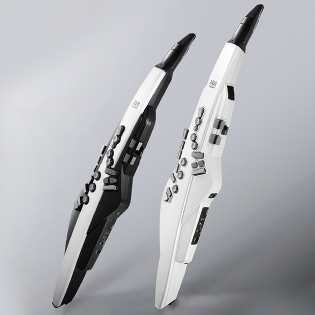 Roland Roland electric wind instrument AE20 elderly entertainment ...