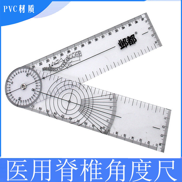 Rehabilitation Equipment - Medical Spine Measurement Ruler