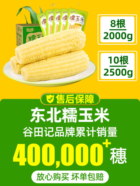 Corn fresh waxy corn 10 white glutinous sticks corn fresh sweet sticky ...