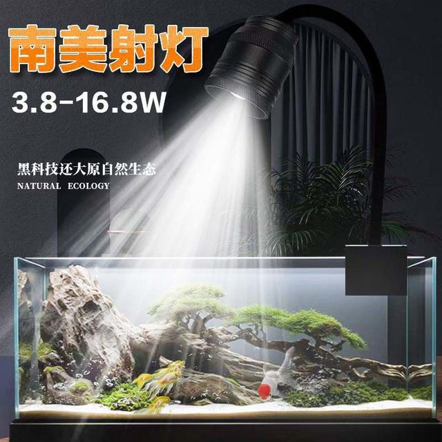 Fish tank ornamental lamp, South American tank spotlight, fish tank ...