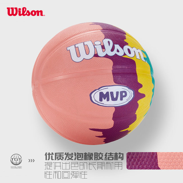 Wilson Wilson Children's Basketball No. 5 Elementary School ...