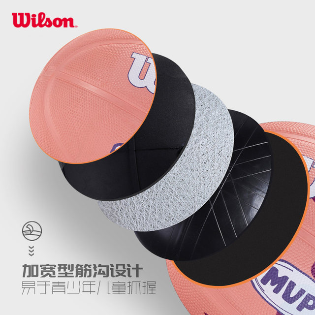 Wilson Wilson Children's Basketball No. 5 Elementary School ...
