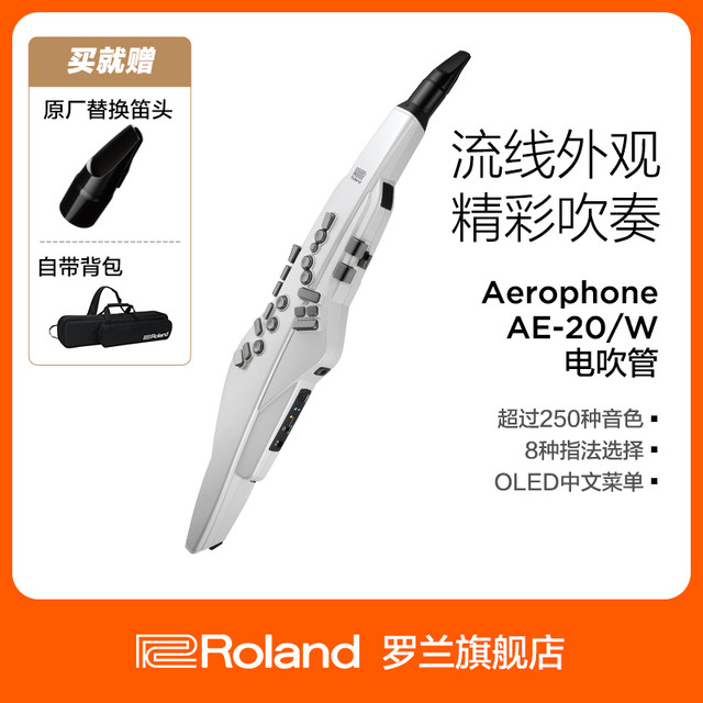 Roland Roland electric wind instrument AE-20WAerophone electric ...