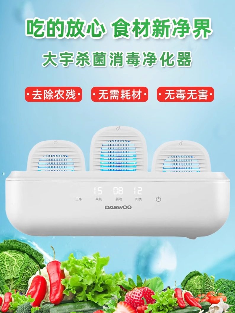 Daewoo Fruit & Vegetable Cleaning Machine Qx6-1