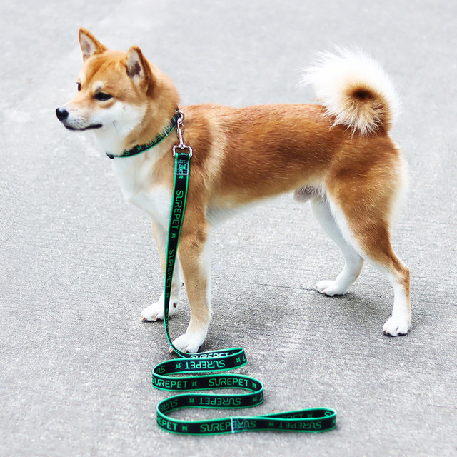 Large dog traction rope set in the dog neck ring, cat ring prevention ...