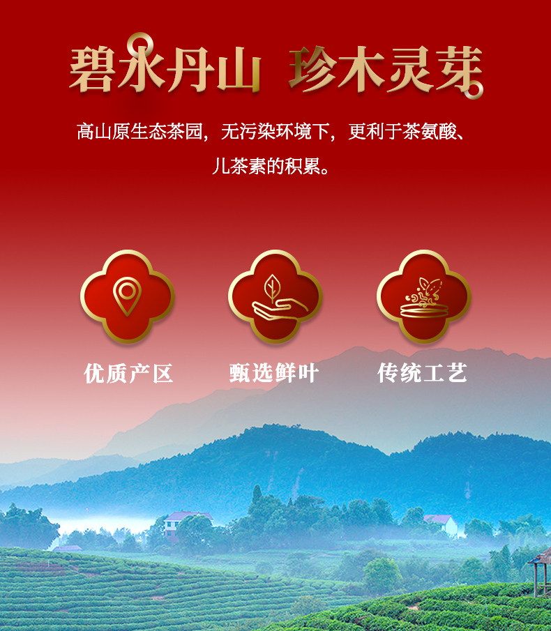 중국 차 공식 플래그십 스토어 도금 연령 5세 모란 백차 357g 차 선물 상자 | 중국차