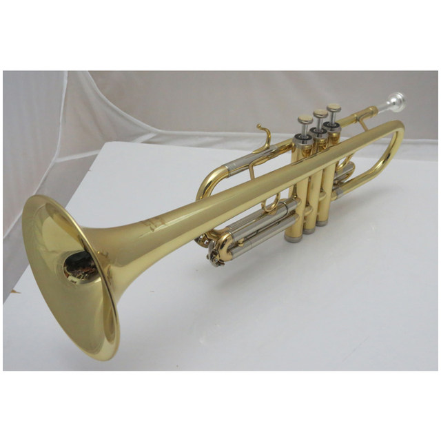 Weinuo's new brass school beginner C-key trumpet instrument ...