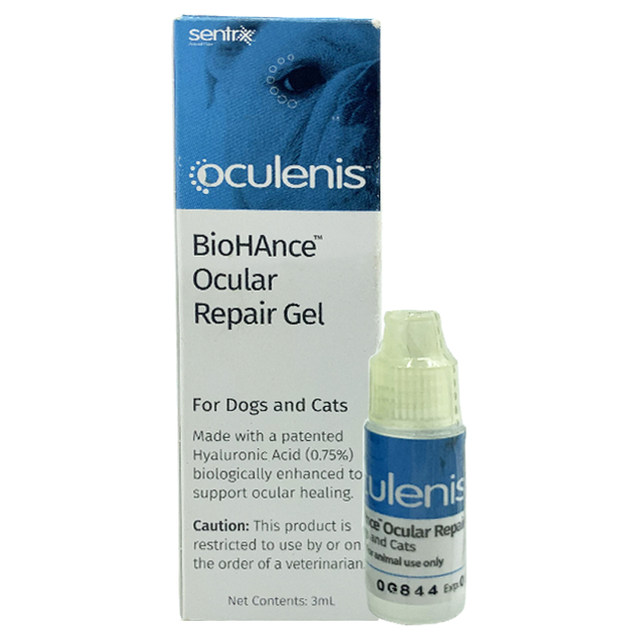 American flash SentrX gel corneal rotting bone repair cat keratitis ...