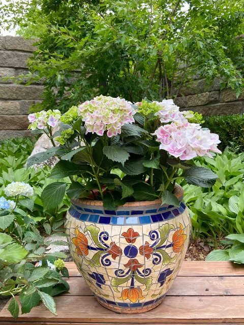 Rose Town Magraca's high -end courtyard flower pot green plantation ...