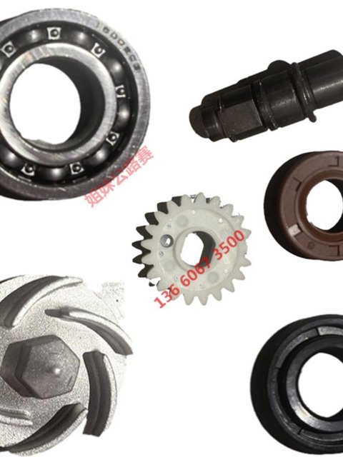 Dragon 200/400 motorcycle pump assembly accessories vsk engine leaf ...