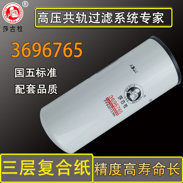 FF63013 firewood filter adaptation to Conomins Oman GTL 1.1 million ...