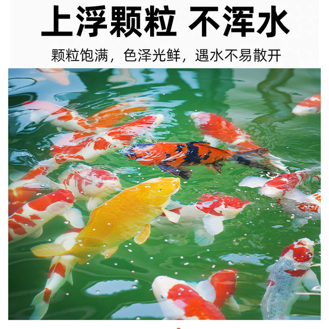 Koi fish feed fish food goldfish small particle fish food household ...