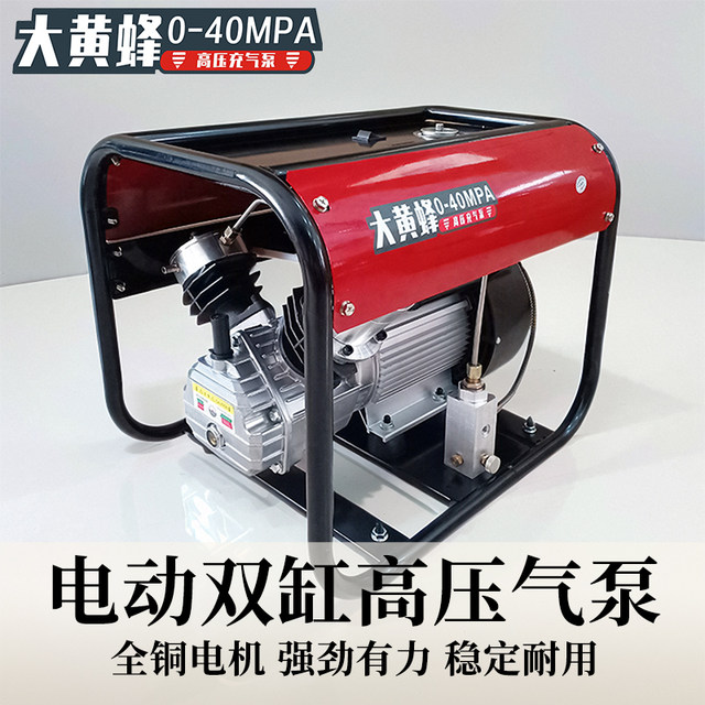 Bumblebee high-pressure air pump 40mpa double-cylinder high-pressure ...