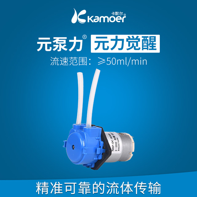 Carmel creep pump 12V micro -suction pump electric DC pump pump water ...