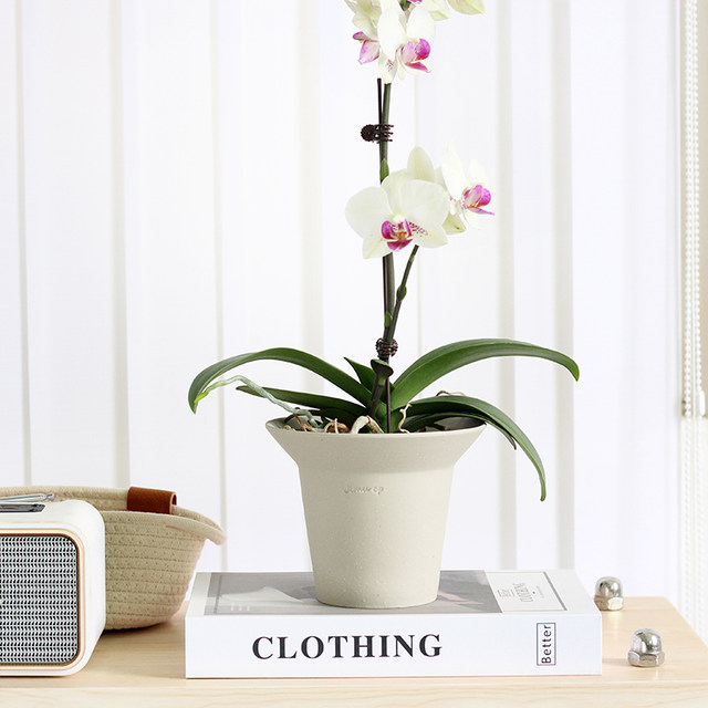 Wabi-sabi style ceramic flower pot with high legs and breathable plant ...