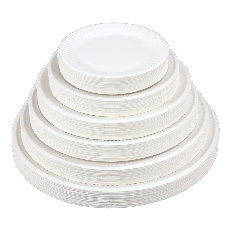 White Paper Plates - Disposable Tray for Dining, Cake & DIY Crafts
