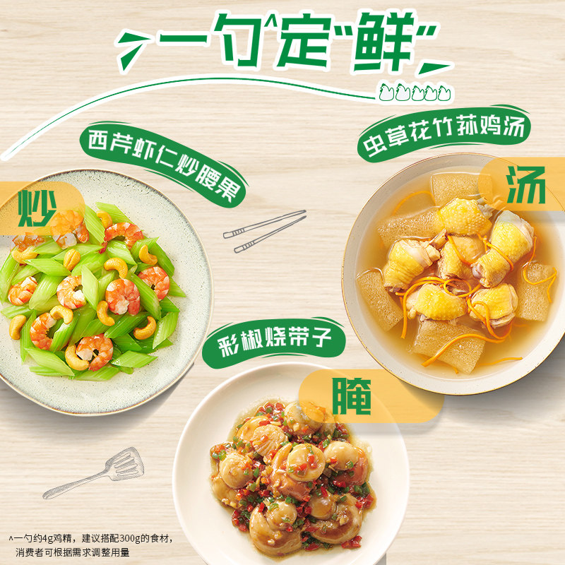 Knorr Chicken Essence Seasoning 400g