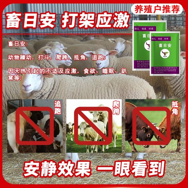 Livestock and livestock. Cattle and sheep are quiet and do not fight ...