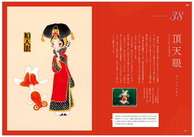 In-Stock Japanese Original Edition: Illustrated Book of Goldfish Girls ...