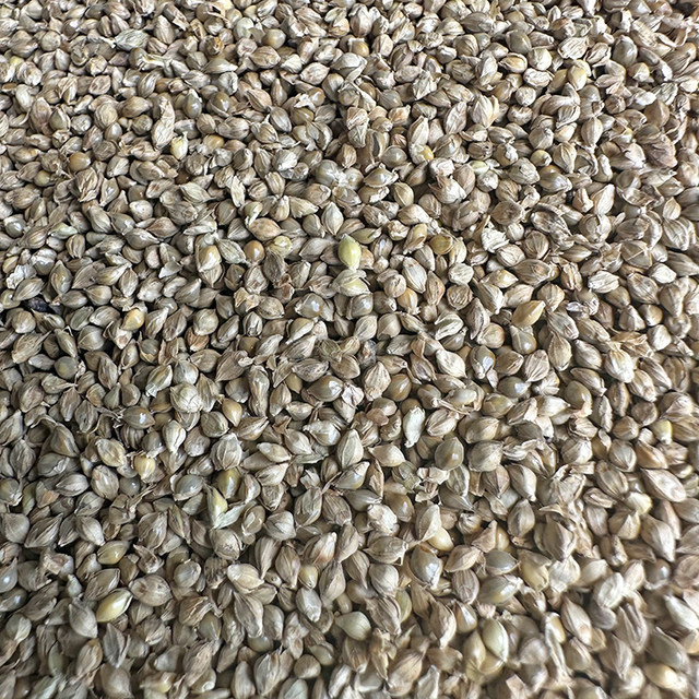 Parrots, tares, grass seeds, birds, pearls, birds, birds, birds, grains ...