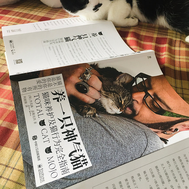 A complete guide to cat maintenance and cat behavior to raise an airy cat