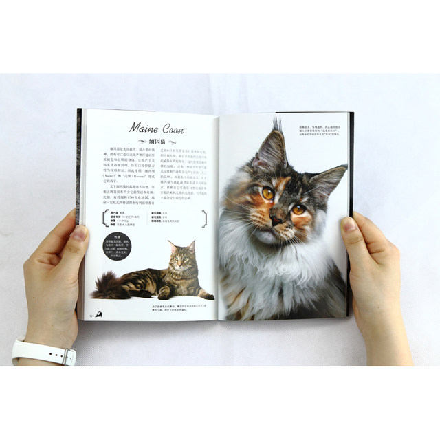 Cat Encyclopedia Cat Illustrated Book 48 World Famous Cat Illustrated ...