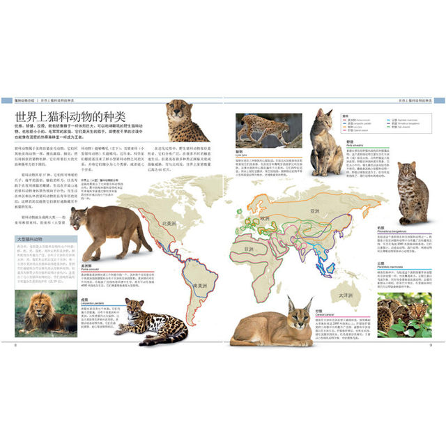 DK cat encyclopedia encyclopedia all book cat family animal book cat ...