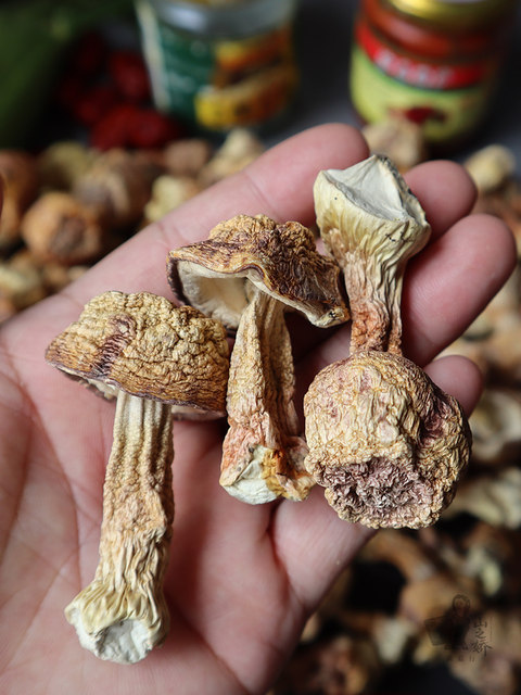 Shanzhi Jiao Ji Ji Ji Matsutake dry goods Yunnan mushrooms Brazilian ...
