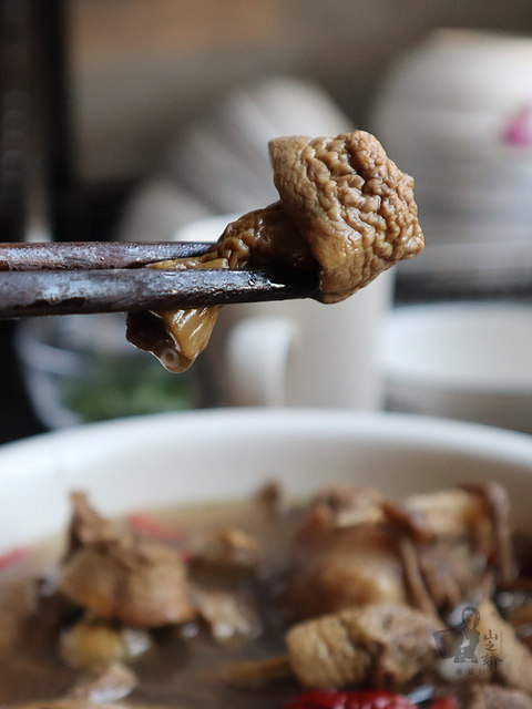 Shanzhi Jiao Ji Ji Ji Matsutake dry goods Yunnan mushrooms Brazilian ...