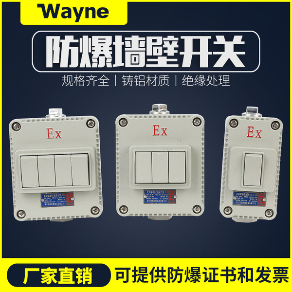 Explosion-proof wall 220v 10a lighting one and two position switch ...