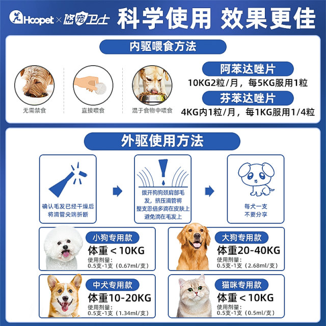 Dog anthelmintics Bichon Frize Teddy in vivo and in vitro Puppies and ...